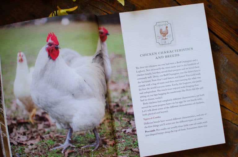 The Homesteader's Natural Chicken Keeping Handbook is Here!