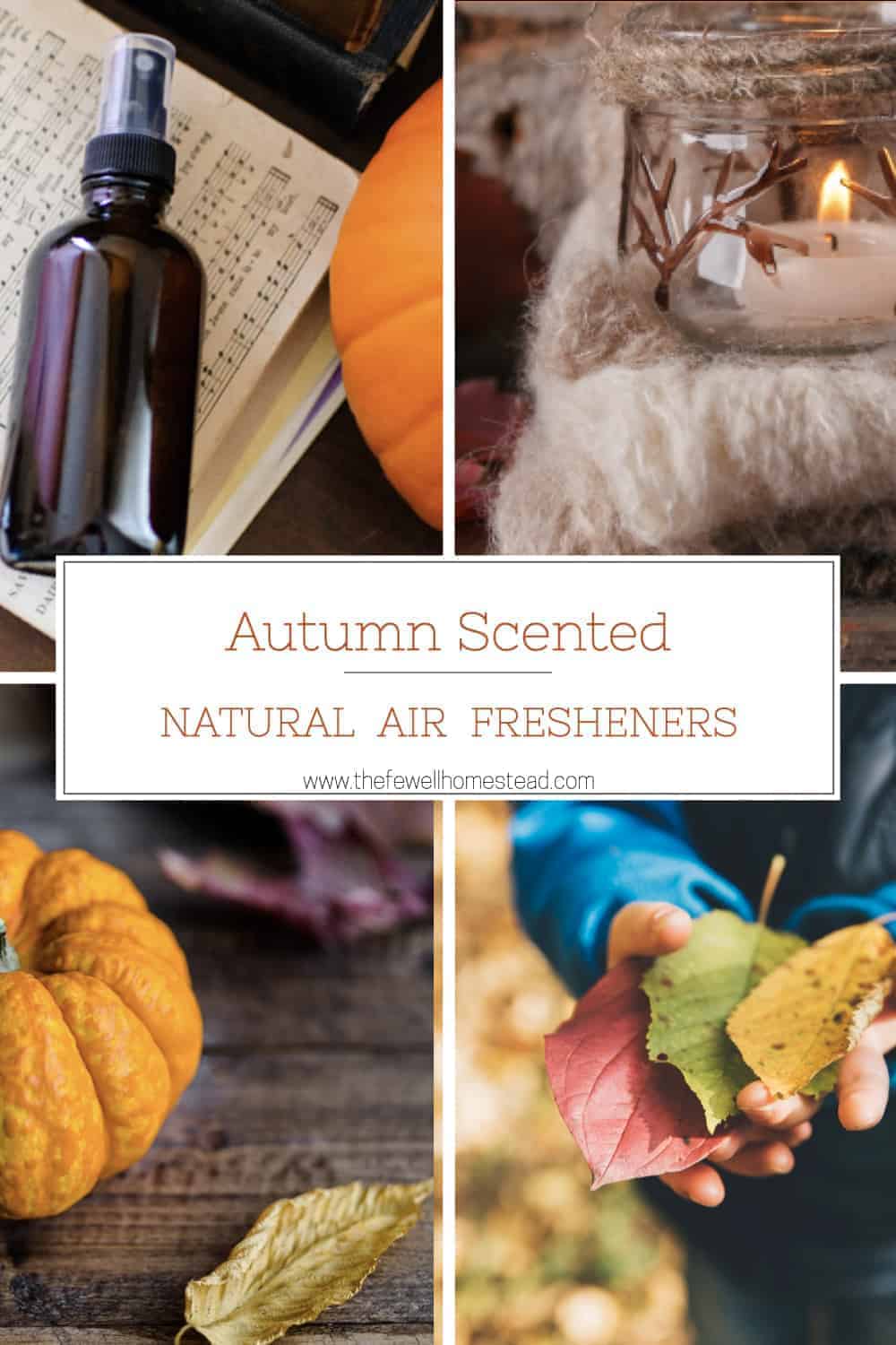 5 Autumn Homemade Air Fresheners - Amy K. Fewell