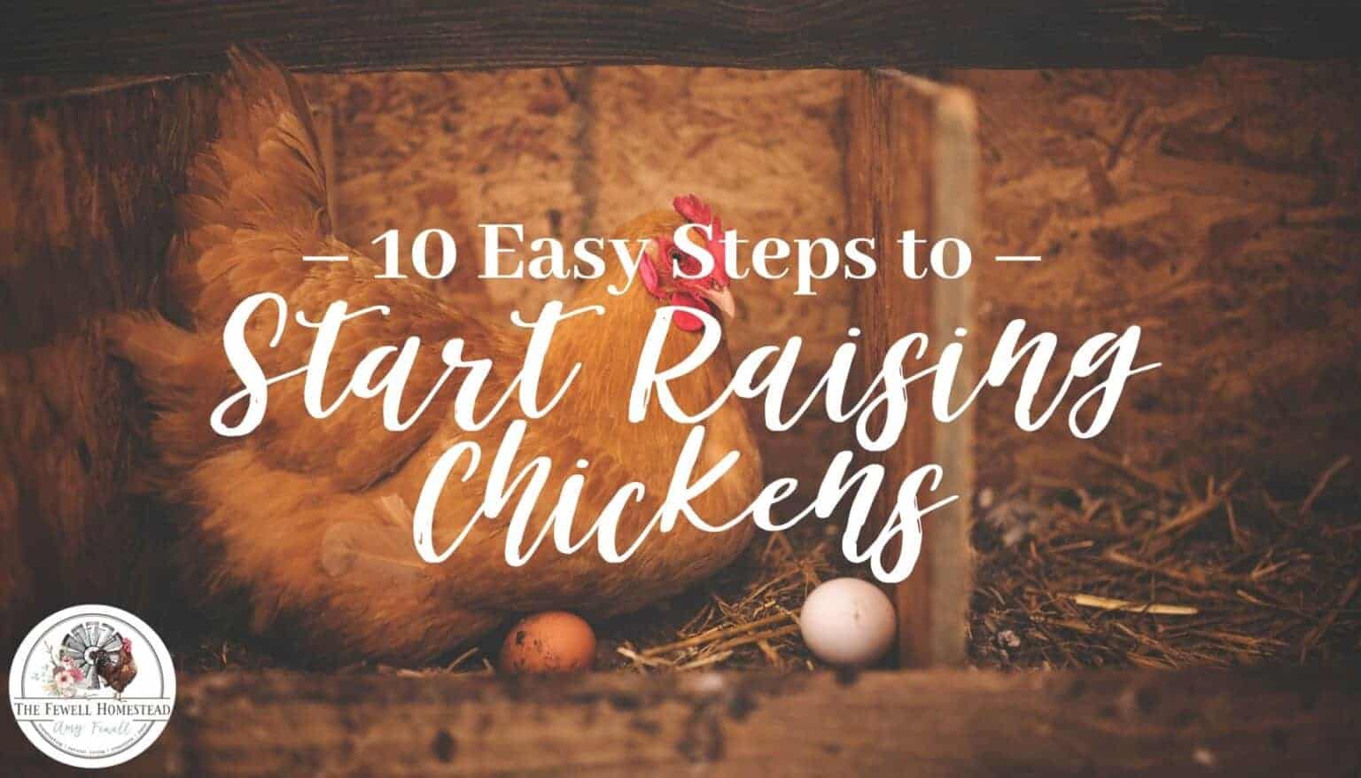 10 Easy Steps to Start Raising Chickens - Amy K. Fewell