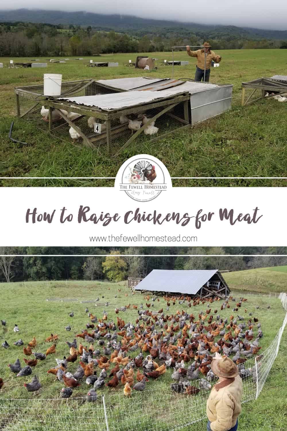 Easy Steps to Raising Meat Chickens - Amy K. Fewell