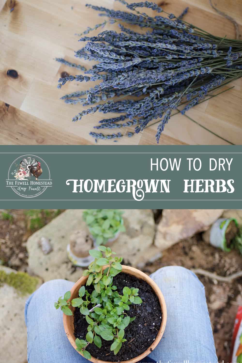 Growing and Drying Your Own Herbs (with video) - Amy K Fewell ...