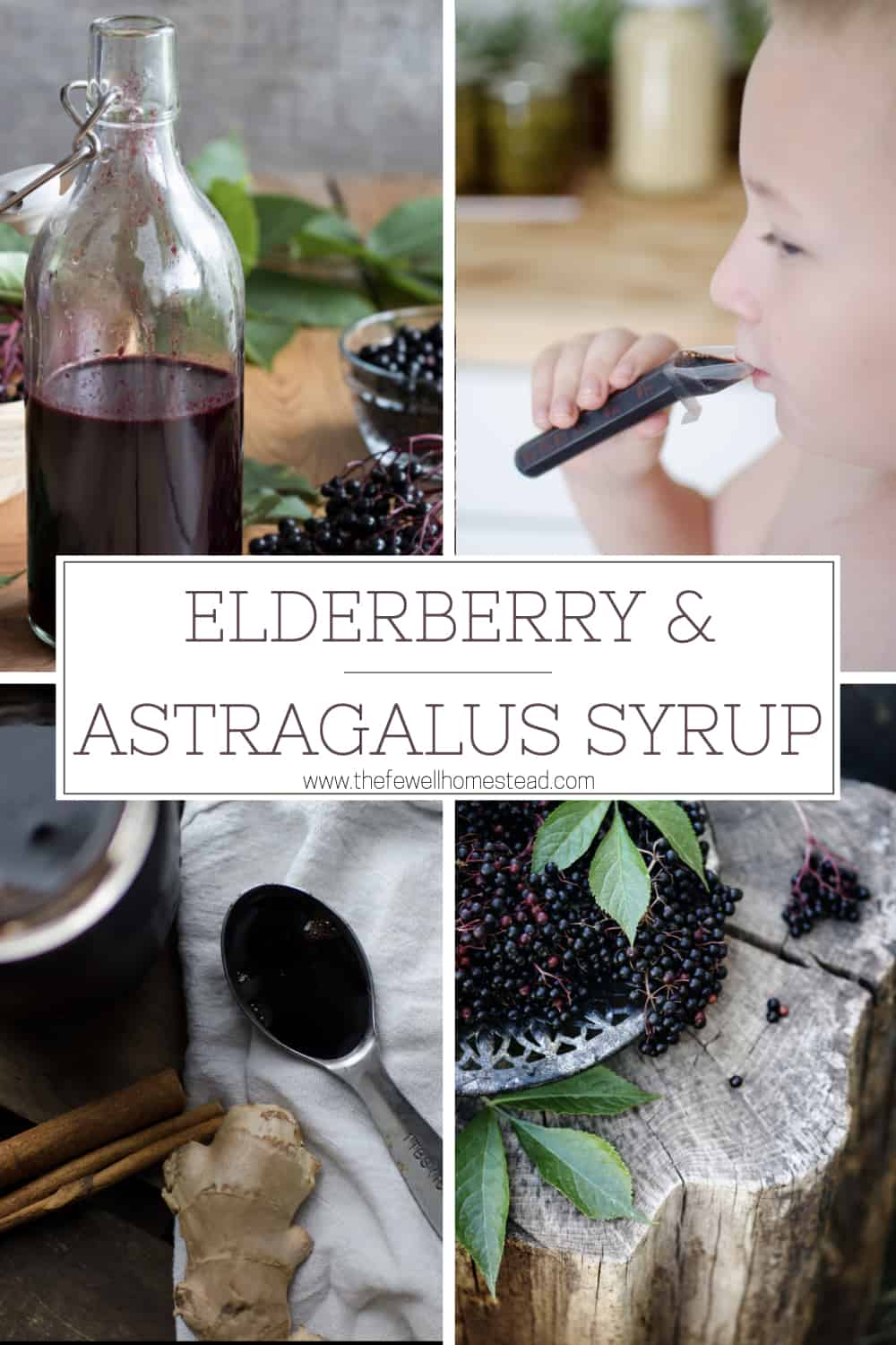 Flu Fighting Elderberry and Astragalus Syrup - Amy K Fewell ...
