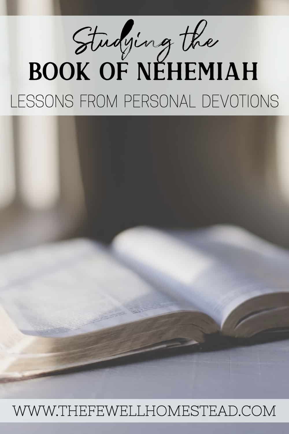 Bible Study | The Story of Nehemiah - Amy K Fewell | Homesteading for ...